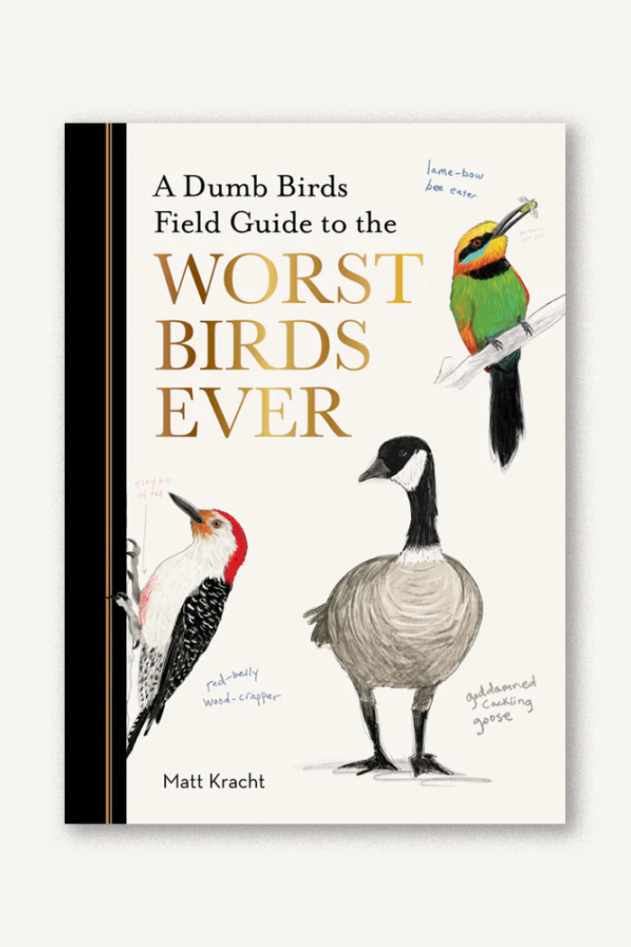 Dumb Birds Field Guide to the Worst Birds Ever – Notice: Accessories ...